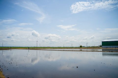 11 BEST Things To Do in Sekinchan: An Epic 2024 Day Trip