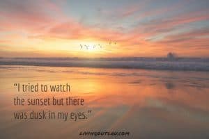 100+ Catchy Instagram Captions For Sunsets To Engage Your Audience ...