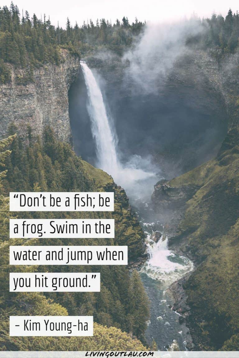 100+ Incredible Waterfall Quotes To Captivate Your Audience! - LivingOutLau