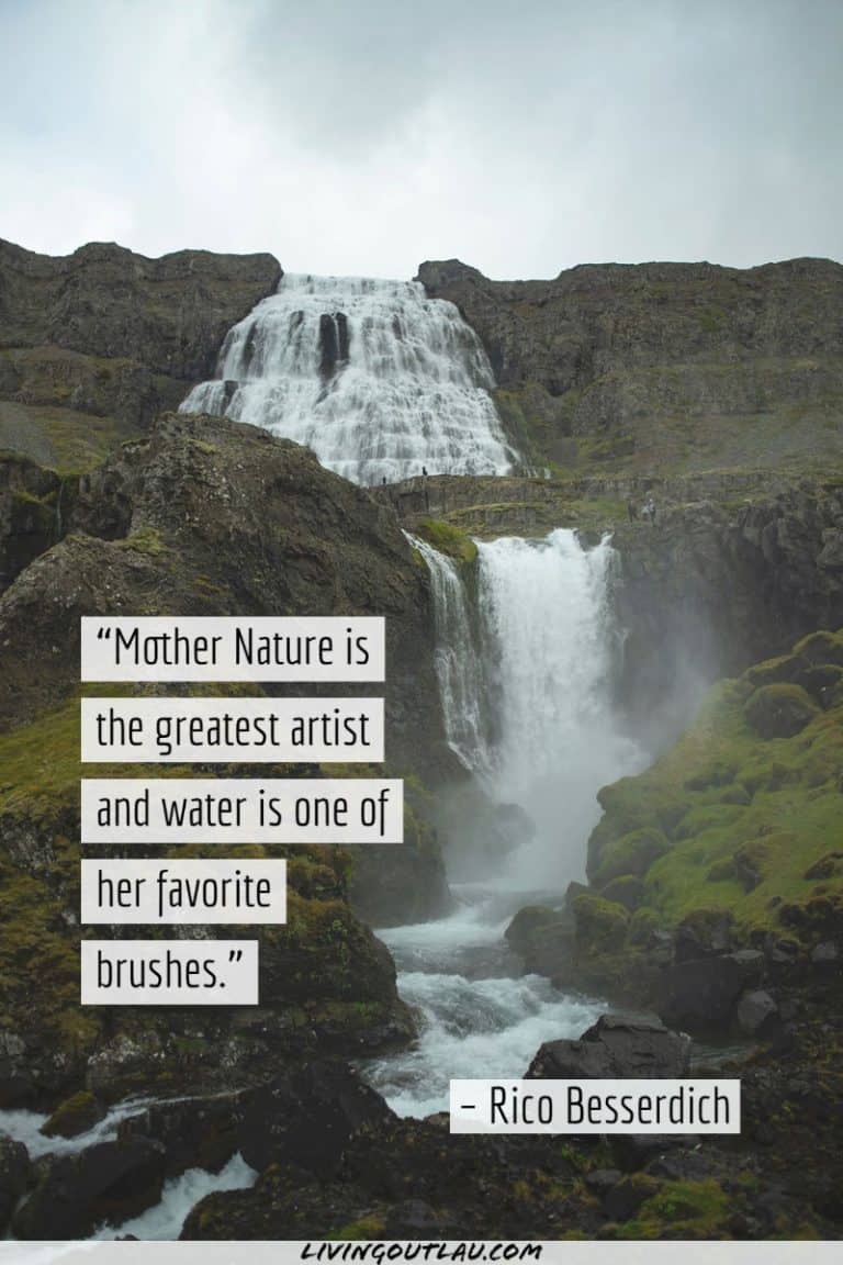100+ Incredible Waterfall Quotes To Captivate Your Audience! - LivingOutLau