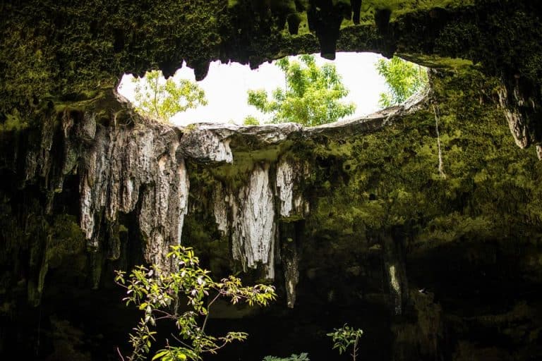 17 Best Cenotes In Tulum You Cannot Miss! [2024 Edition]