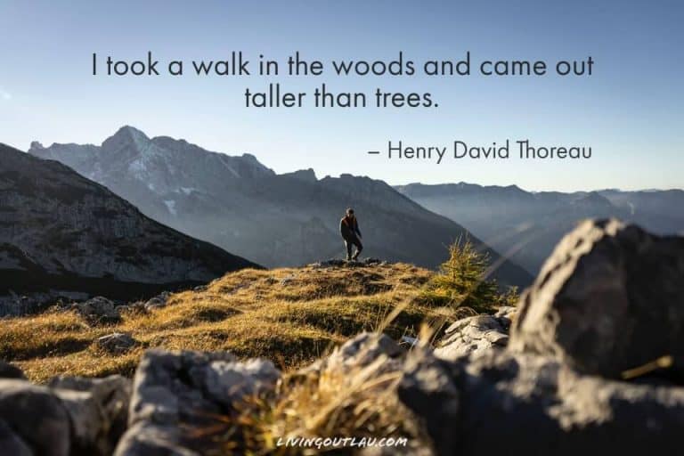 101+ EPIC Quotes On Hiking And Trekking - LivingOutLau