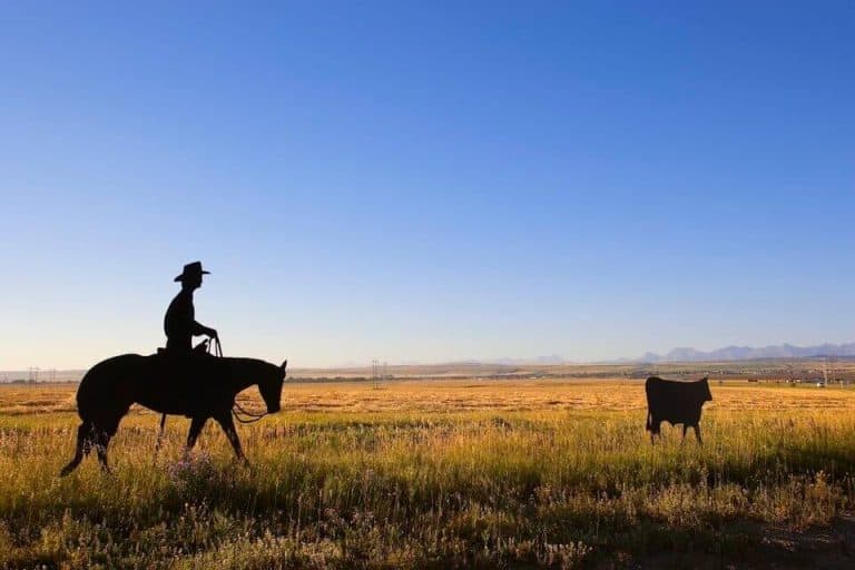 17 Best Small Towns In Alberta Worth Visiting in 2023 - LivingOutLau