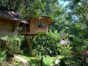 13 EPIC Treehouses in Bali [2023 Edition] - LivingOutLau