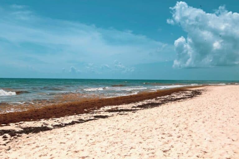 Tulum In July: Weather, Things to Do + More - LivingOutLau