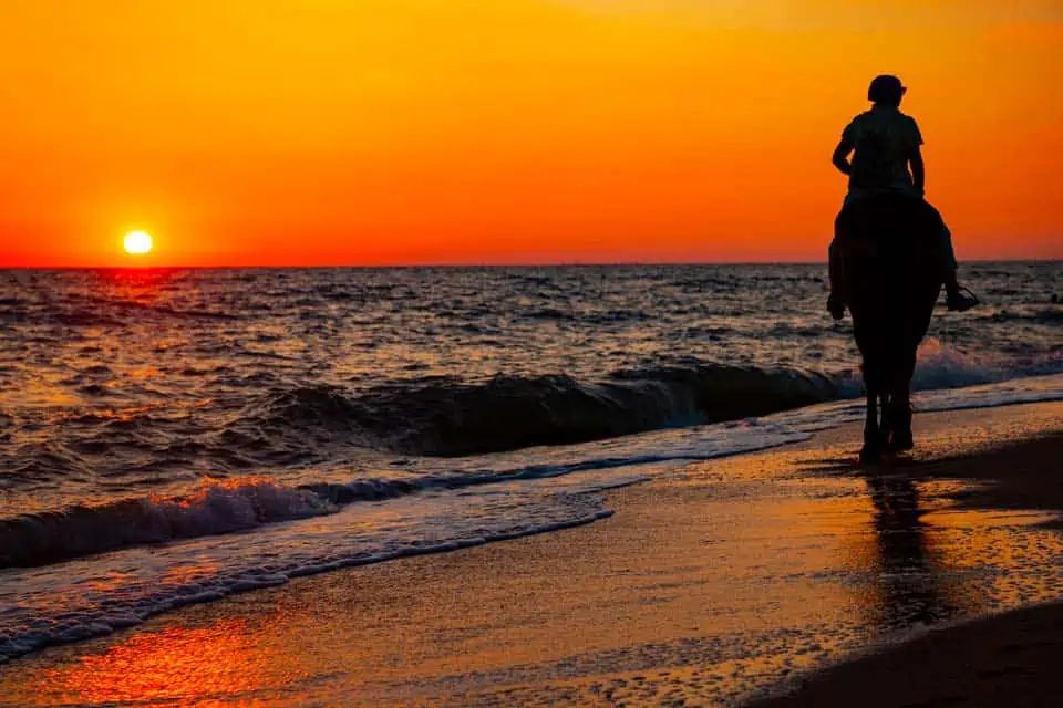 Discover El Paredon, Guatemala: Things To Do + FAQs Answered - LivingOutLau