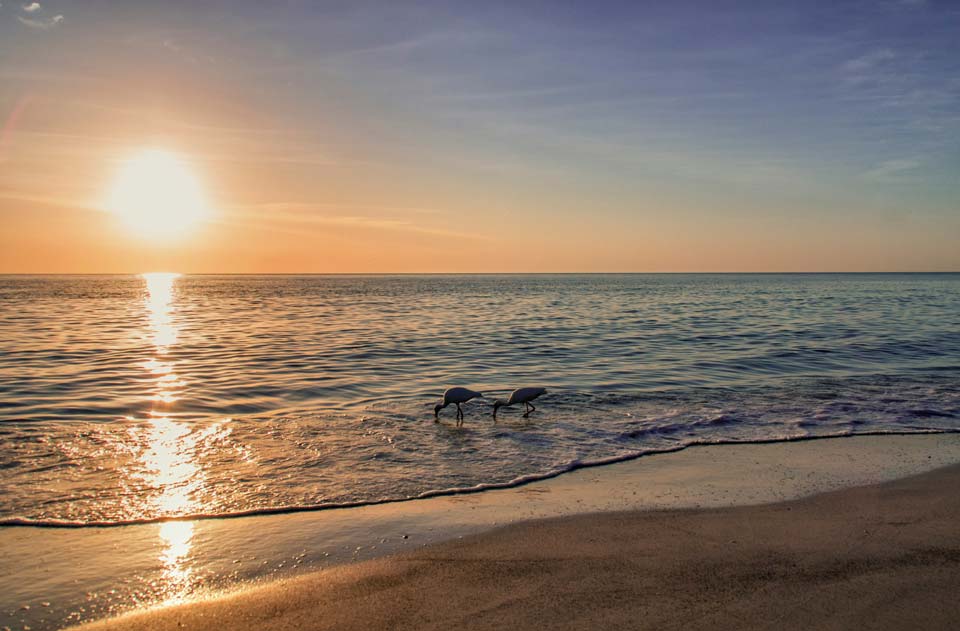 21 Clearest Water Beaches In Florida In 2025 - LivingOutLau